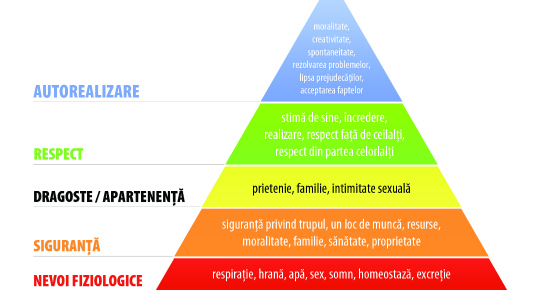 Cutia de ceai: Avem nevoie sau ne dorim?