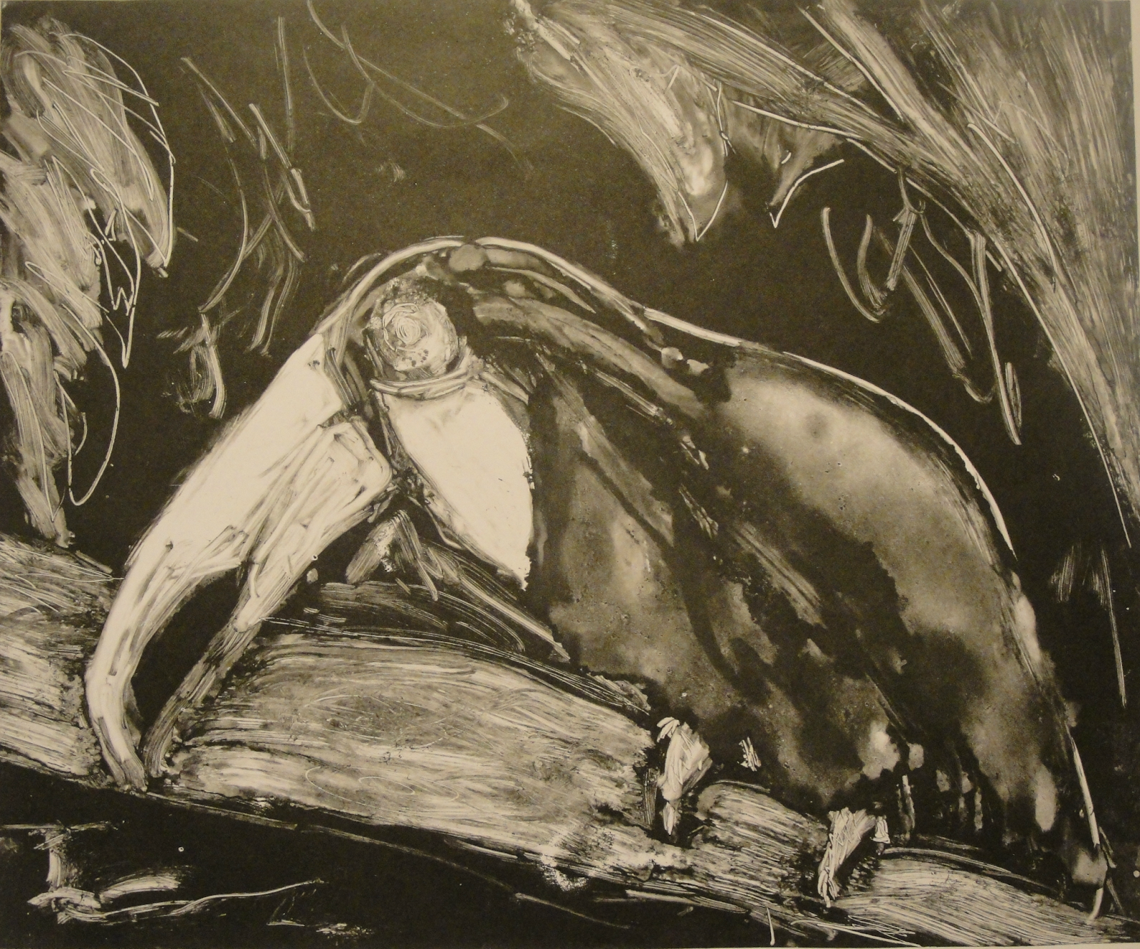 Laura Genta - Artista Plástica - Docente