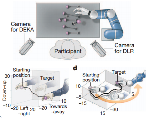Brain Box: In the news: More neural prosthetics