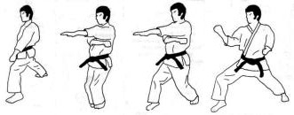 Parry Kihon Shotokan Style : Learning Karate At Home (1.1.4) ~ LEARNING ...