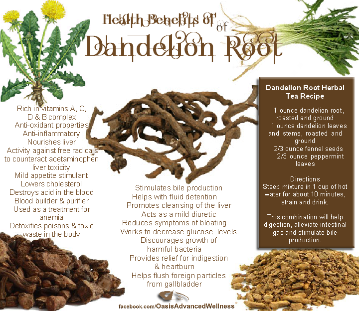 Health & nutrition tips: Health benefits of dandelion root