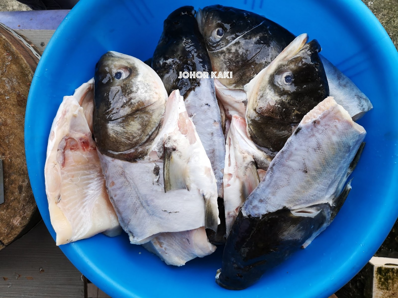 Feilo Heng Steamed Song Fish Head in Johor Bahru 肥佬兴松鱼头.肉骨茶 |Tony Johor ...