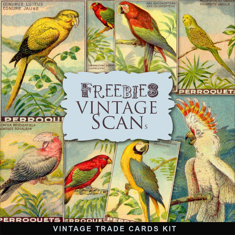 Freebies Vintage Trade Cards Kit:Far Far Hill - Free database of ...