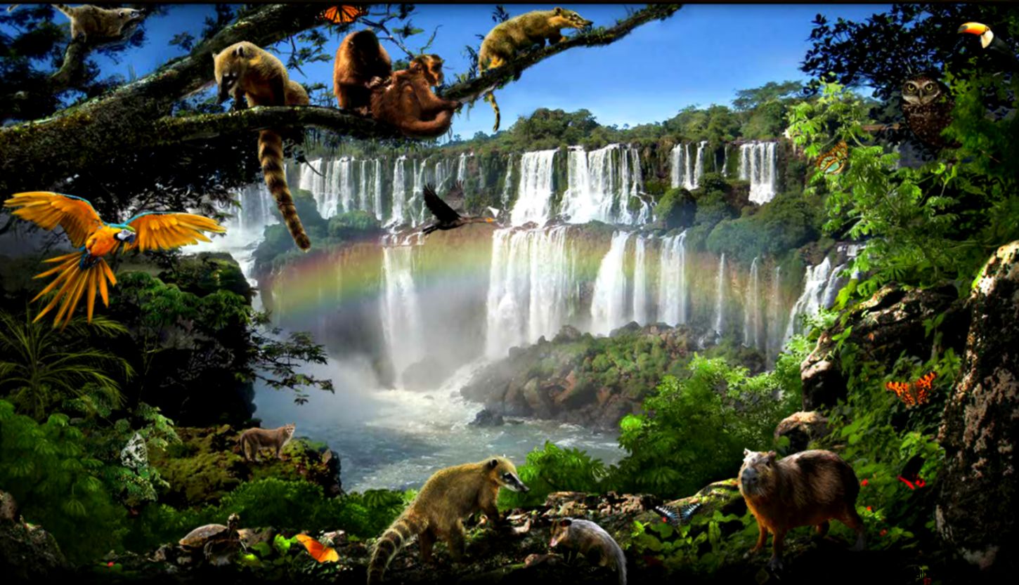 Pictures Of Nature Scenes With Animals | Wallpapers Gallery