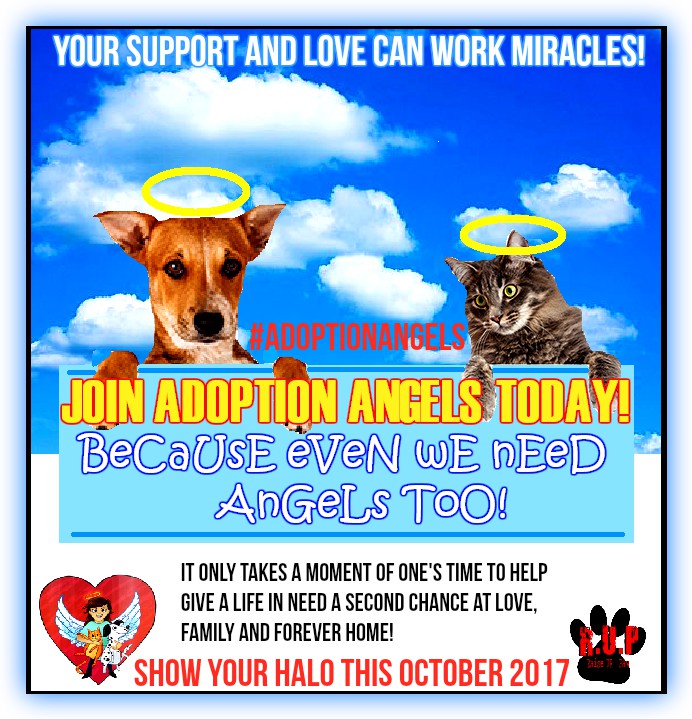 RAISE UR PAW NEWS: ADOPTION ANGELS CAMPAIGN ---- MAKE A STAND FOR ...