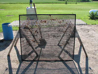 This Little Place Here: The Homemade Pig Roaster