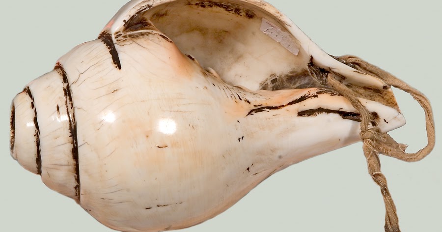 TRADITION & SUPERSTITION DECODER: CONCH SHELL BLOWING