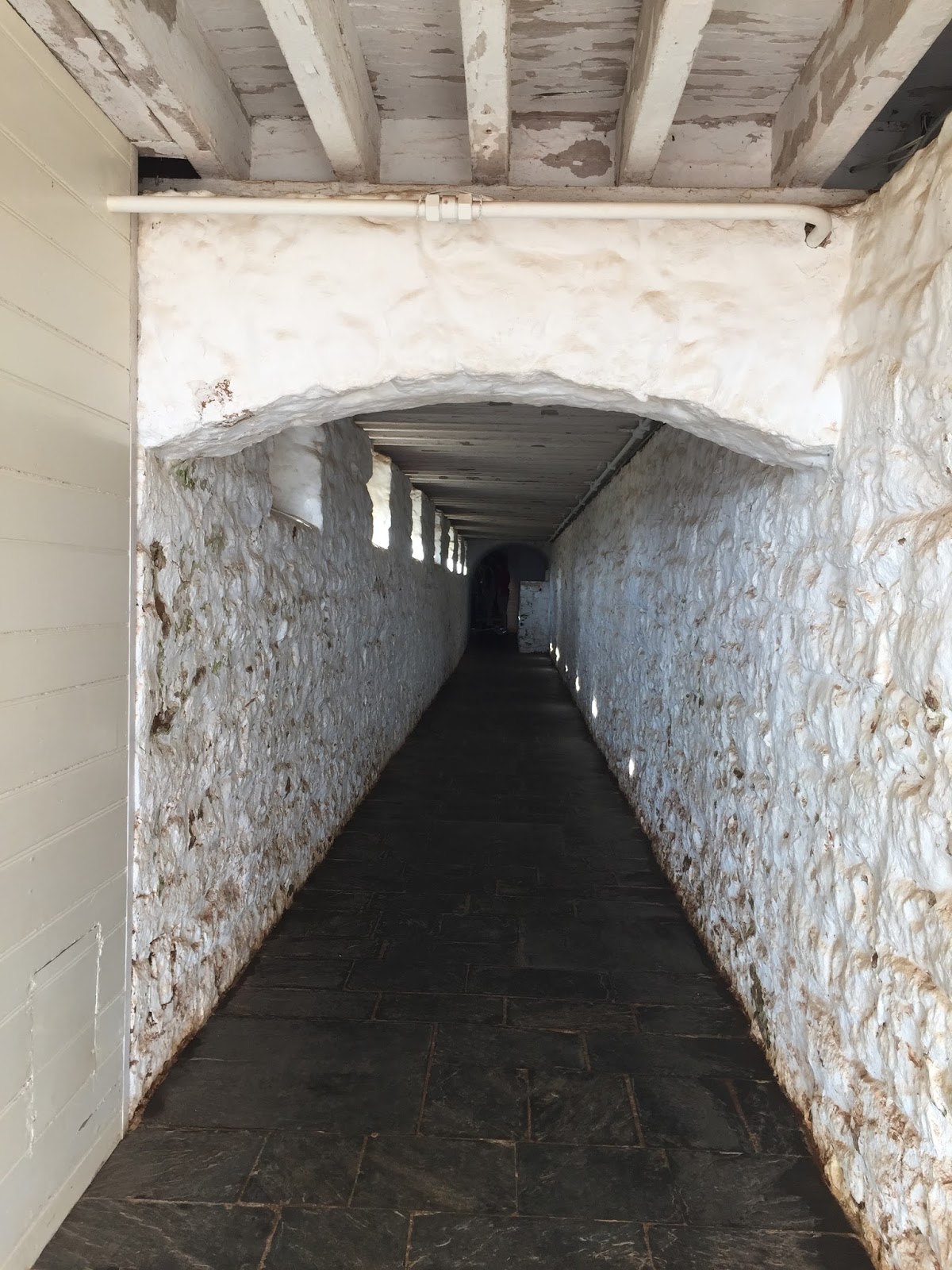 architect design™: Thomas Jefferson's Monticello