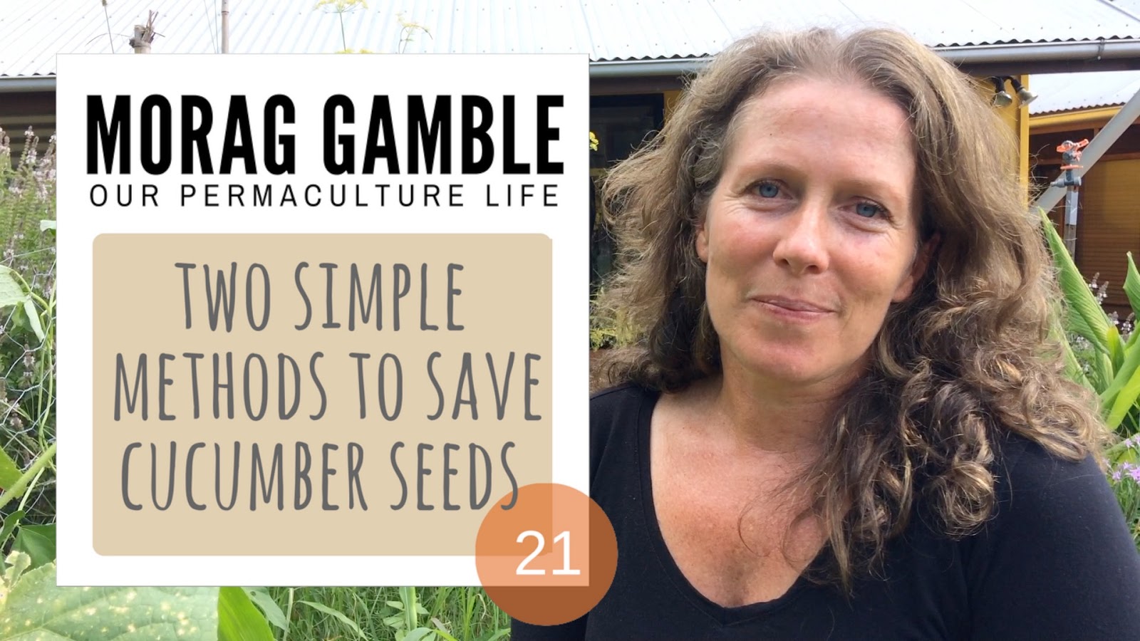 Garden Seed Bank with Morag Gamble - Our Permaculture Life