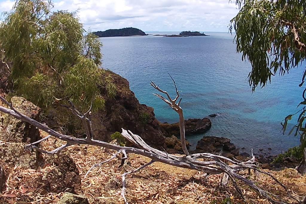 Dreamtime Sail: Middle Percy Island – The cruiser’s Great Barrier Reef ...