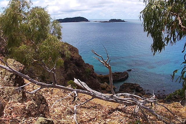 Dreamtime Sail: Middle Percy Island – The cruiser’s Great Barrier Reef ...