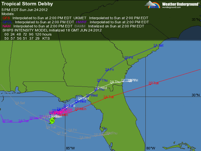 Sandcastle Dreams: Tropical Storm Debby Weekend......