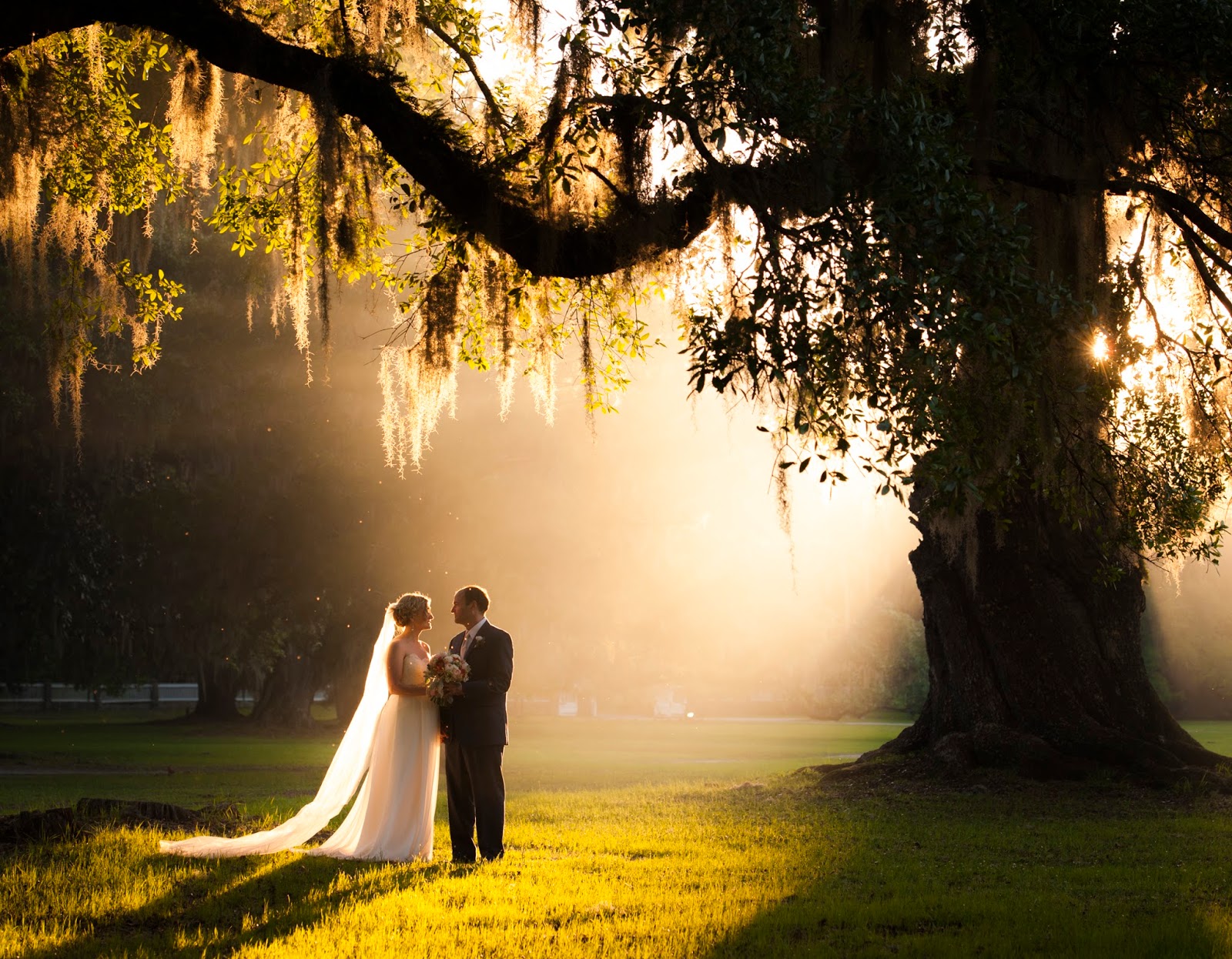 Andrea & Hugh's Middleton Plantation Wedding By Reese Allen - The ...
