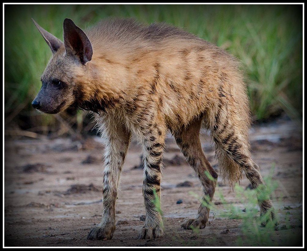 I've been around awhile...: IT'S TIME TO VOTE!