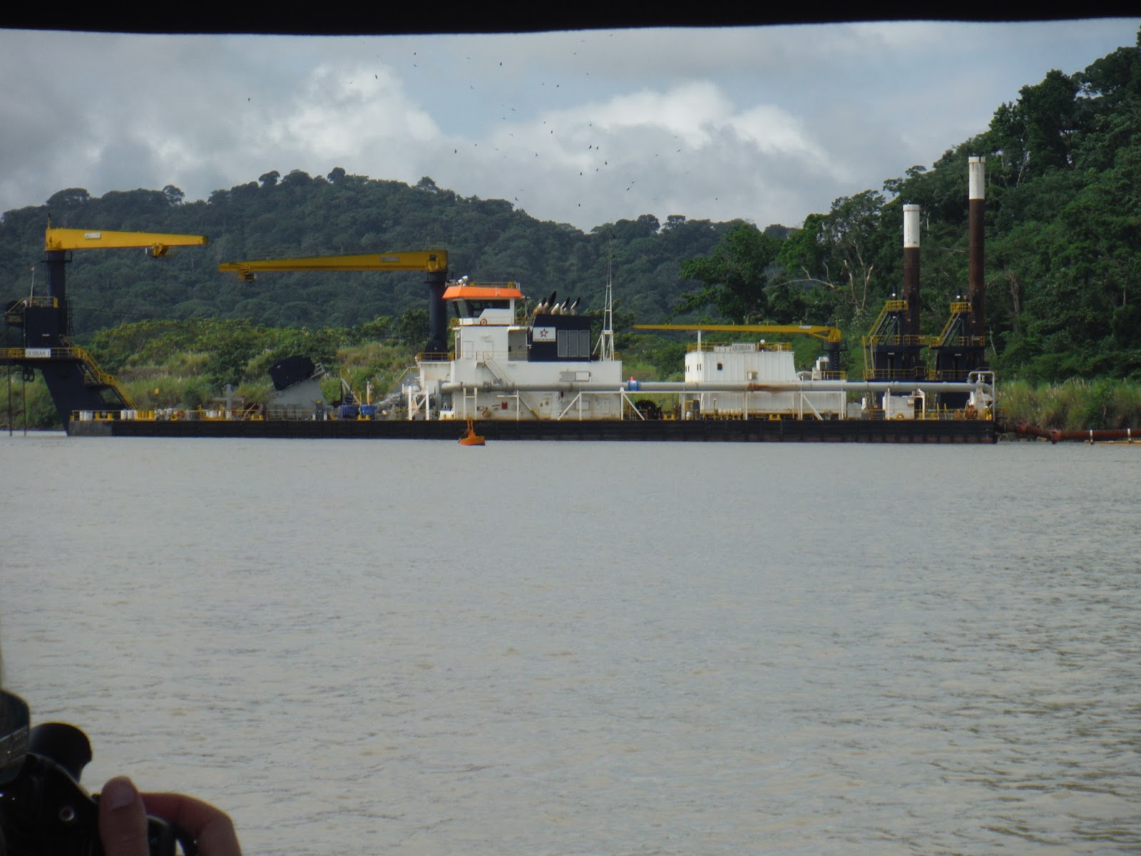 Panamanian Woods : Field trip to Gamboa Rain Forest