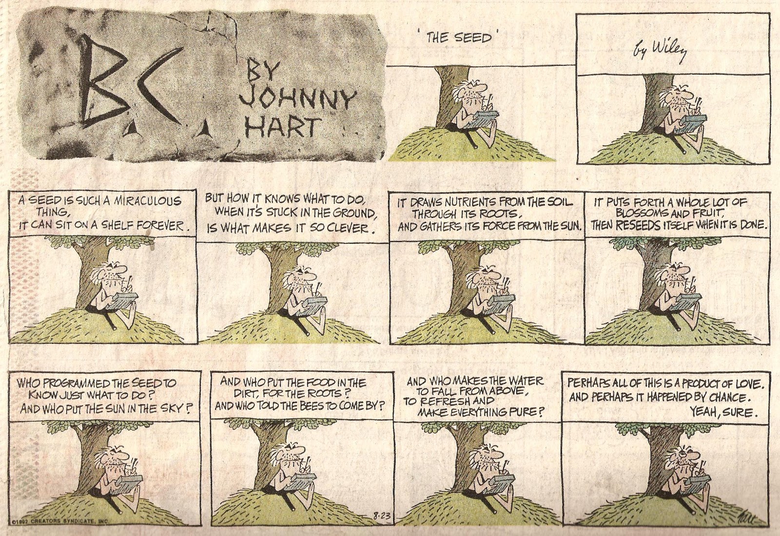 Sunday Comics Debt: Lock of the Irish