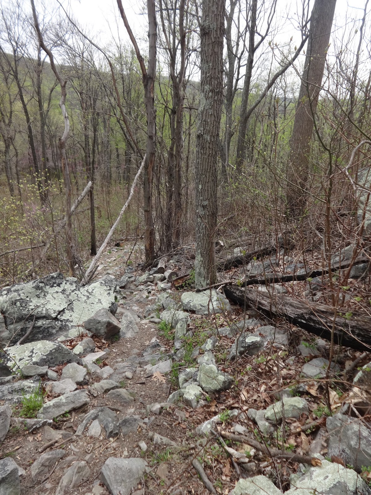 Appalachian Trail Section hiking: Ashby Gap to Snickers Gap