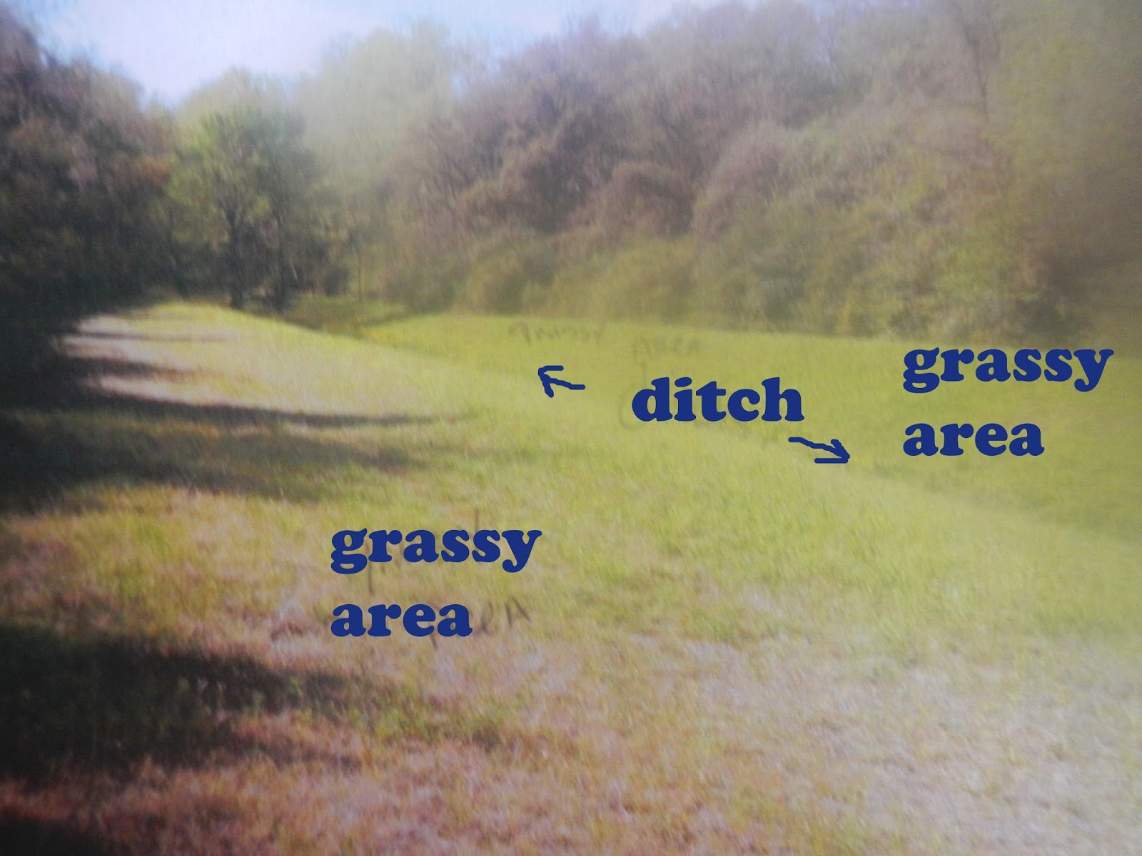 The Urban Sasquatch Journal: The Urban Study Begins