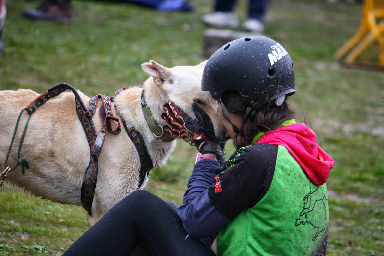 VI Canicross de la Apap - Alcalá en Cerceda - 30 de Marzo