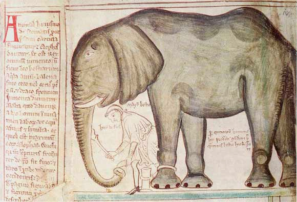 E.M.Powell: Medieval Royal Beasts