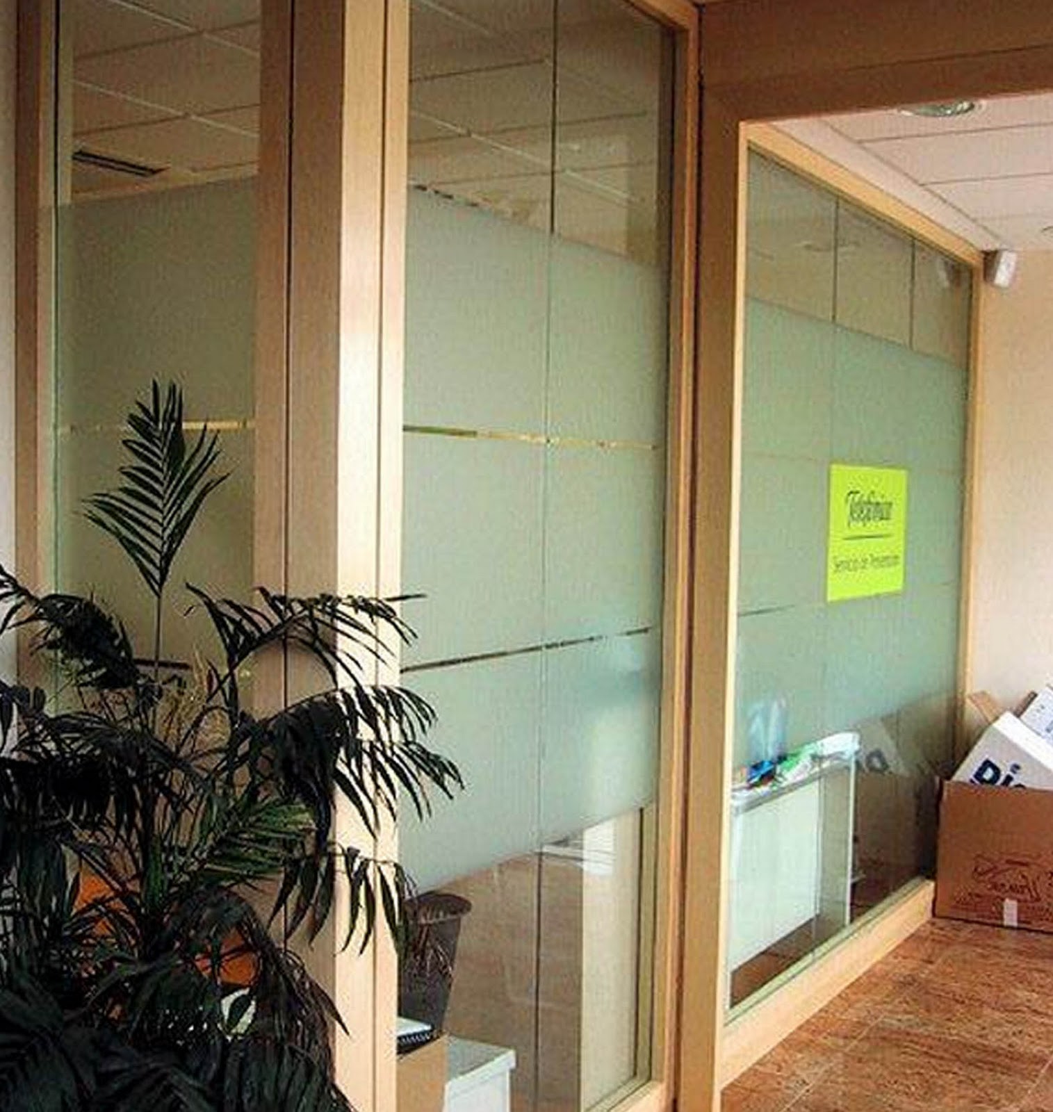 VINIL ARENADO - EMPAVONADO O BRILLANTE: ARENADO EN MAMPARAS