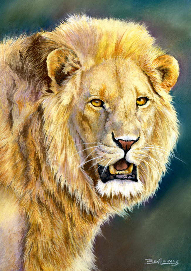 Animal Artistry by Bev Lewis: Simba - African Lion