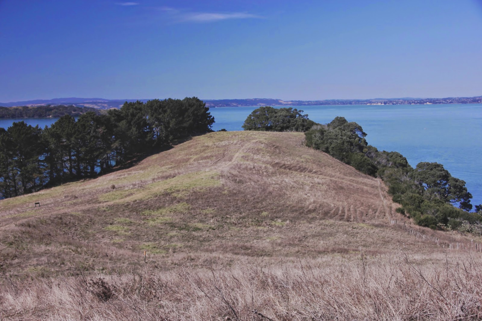 The Cynical Sailor & His Salty Sidekick: Our Final Days Cruising In New ...