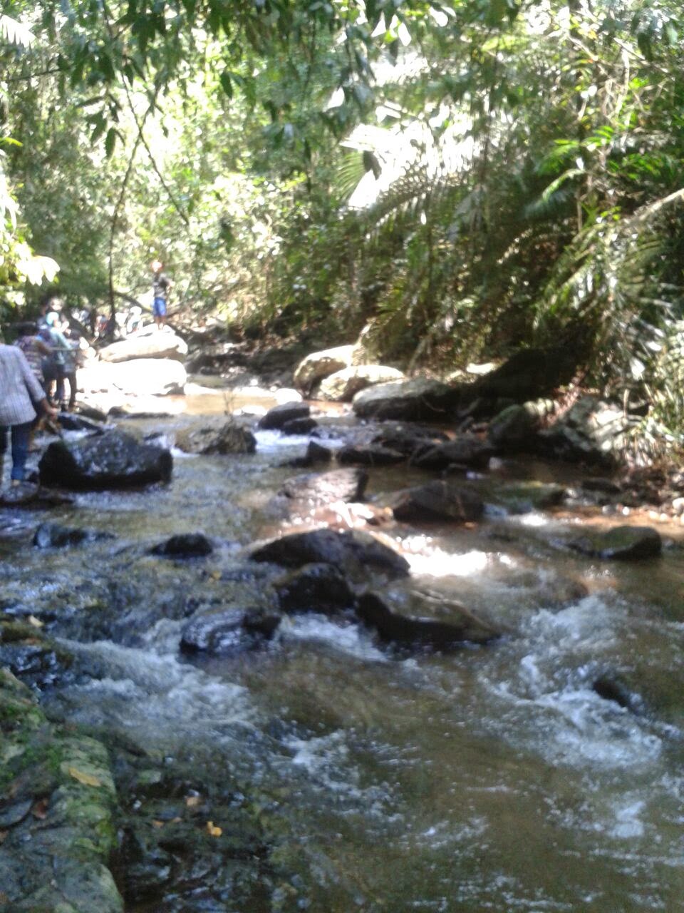 Places of Goa: Netravali: Savari waterfall- mesmerizes nature lovers.