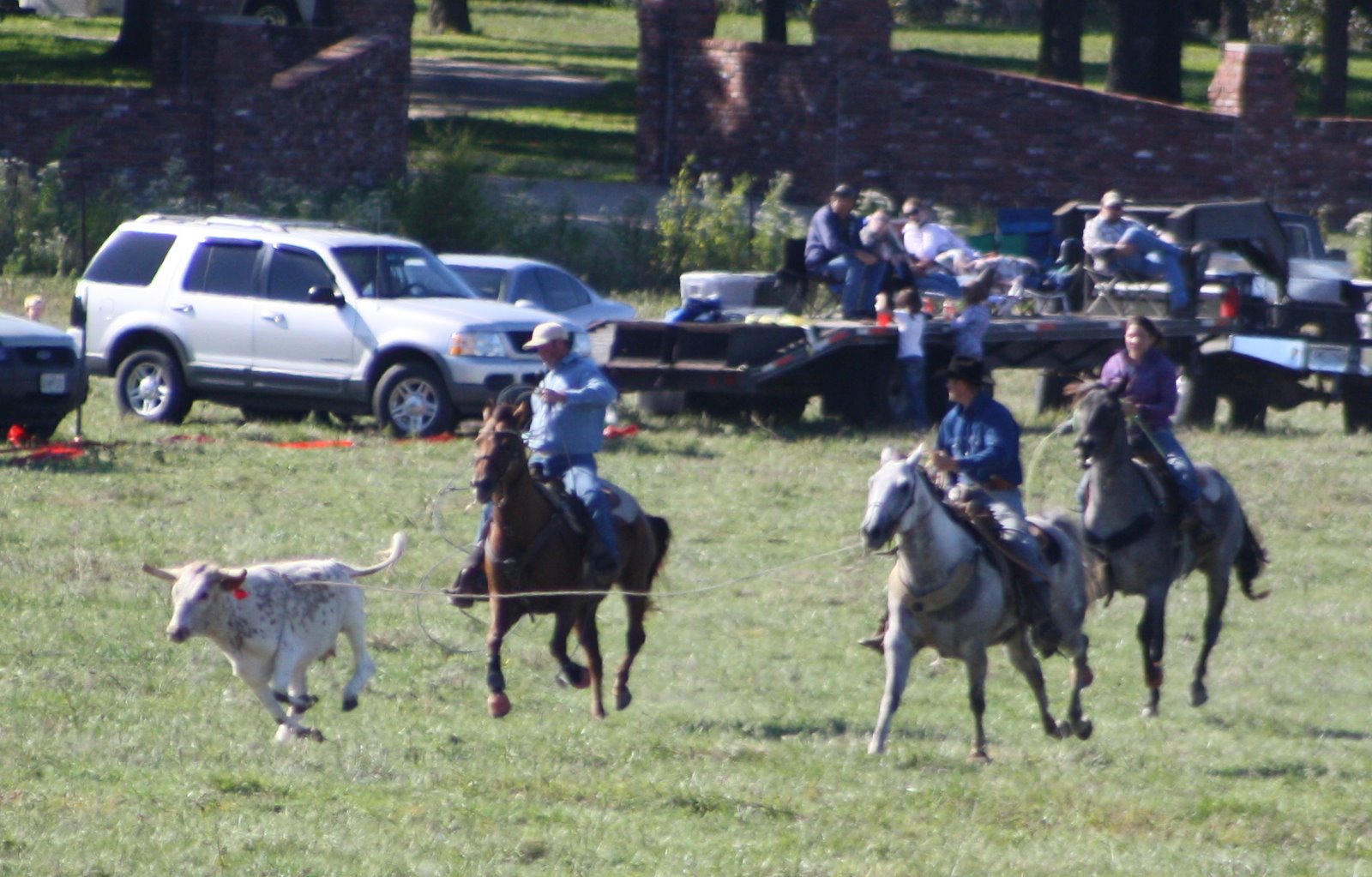 PairADice Mules: Pasture Roping