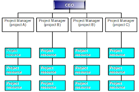 The Project Manager Pad: Organizational structures