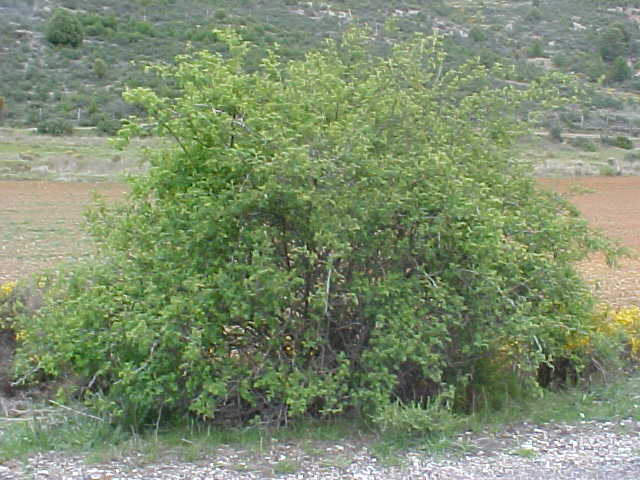 IGLESIA DE LA SEGUNDA OPORTUNIDAD