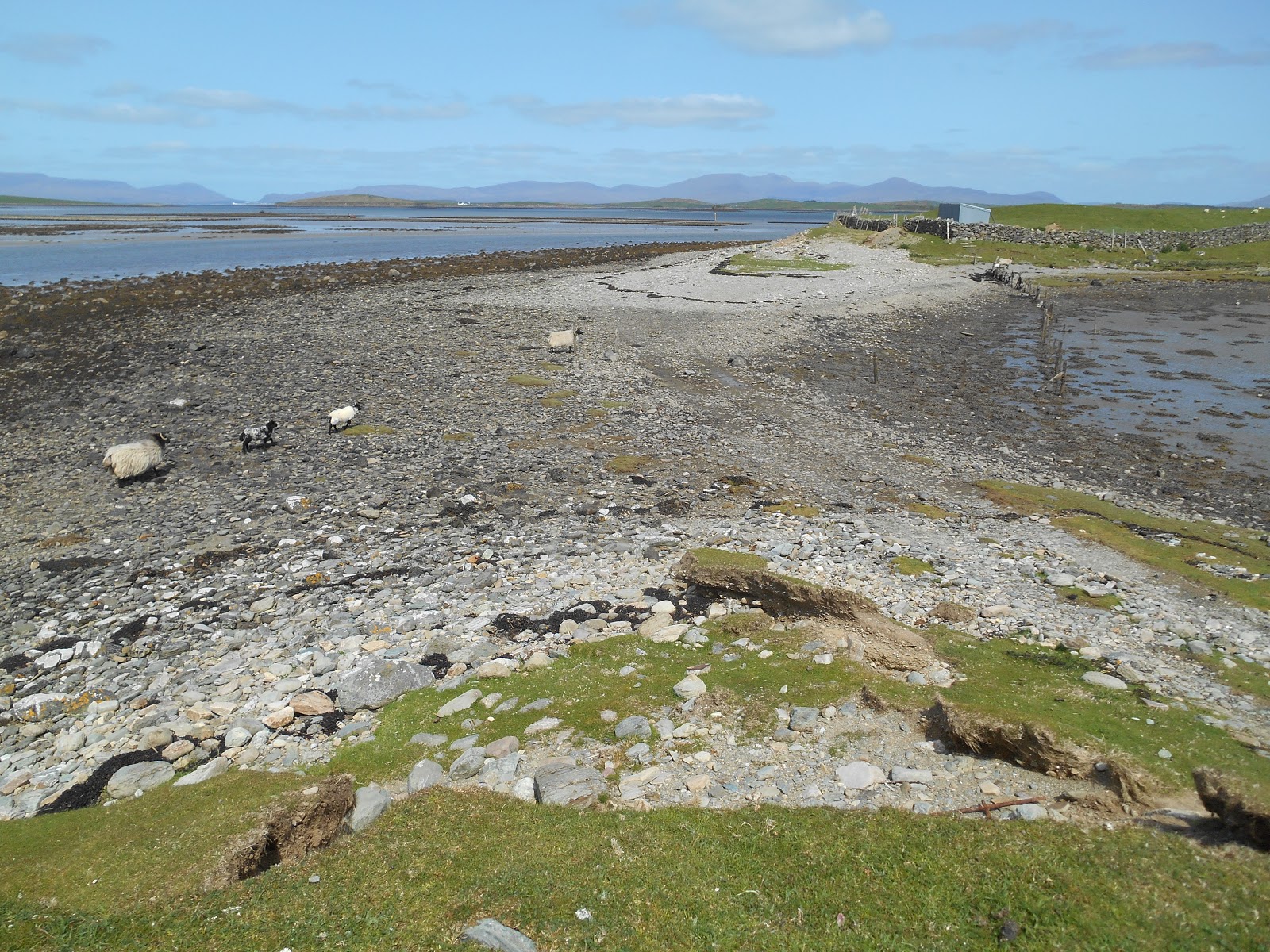 A lifetime of Islands: Island 418 - Annagh Island West, County Mayo