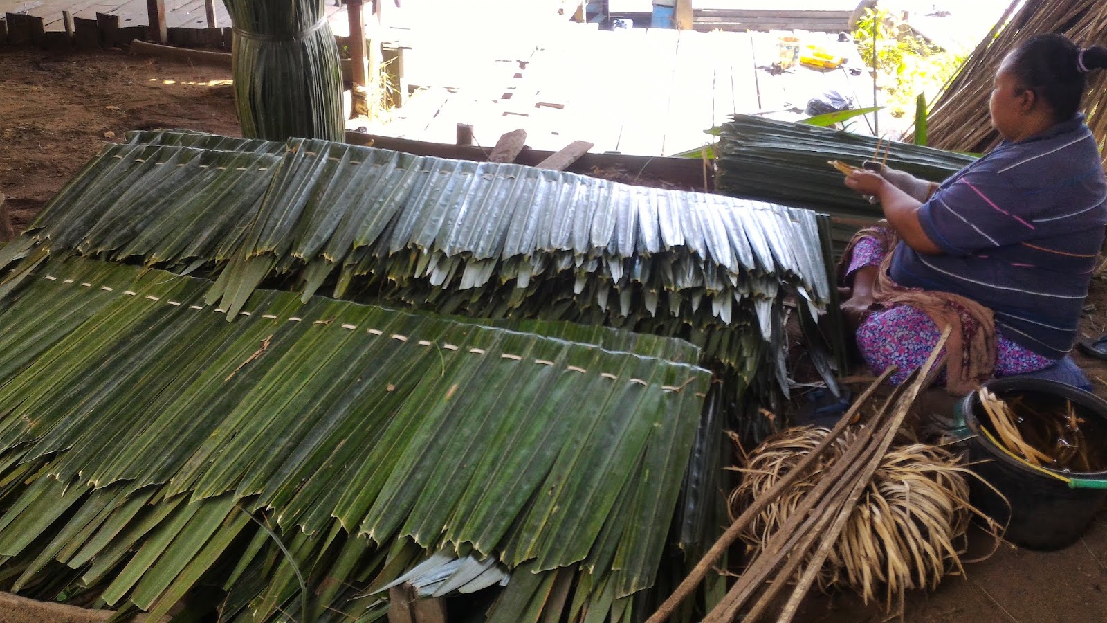 Harapan dari Lembar-Lembar Atap Daun Nipah. - KAYONG SOLIDARITAS