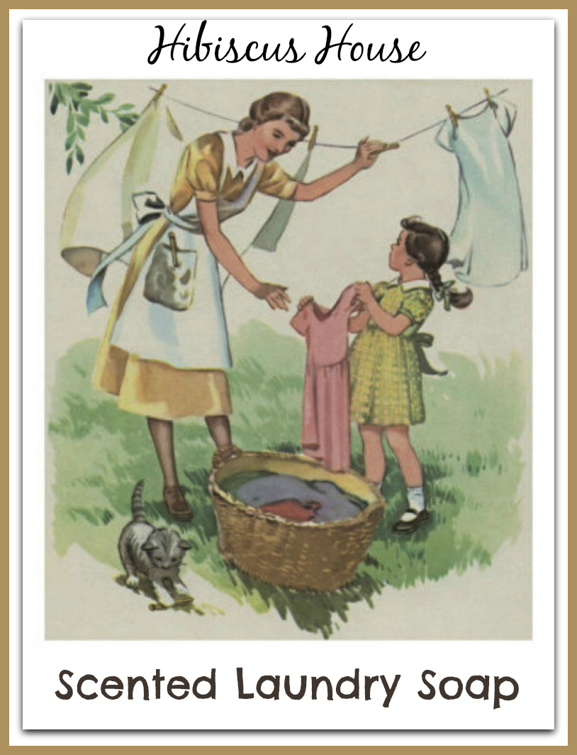 Hibiscus House: Homemade Big Batch Scented Laundry Soap