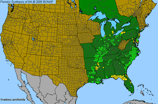 Eaton Rapids Joe: Pumpkin Ash repatriation
