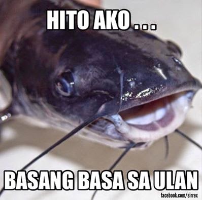 Hito ako... basang basa sa Ulan ~ Joke All You Can