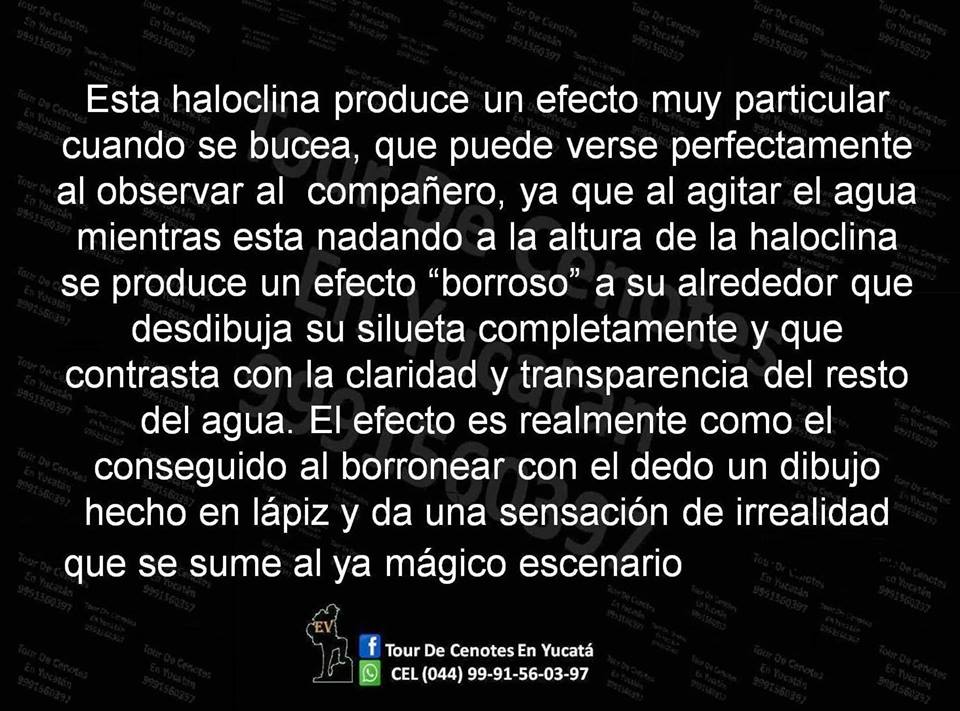 LOS CENOTES DE YUCATAN: EL FENOMENO DE LA HALOCLINA