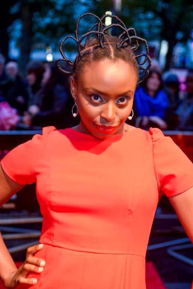 Kamify Blog: Check Out Chimamanda Ngozi Adichie's Proud African ...