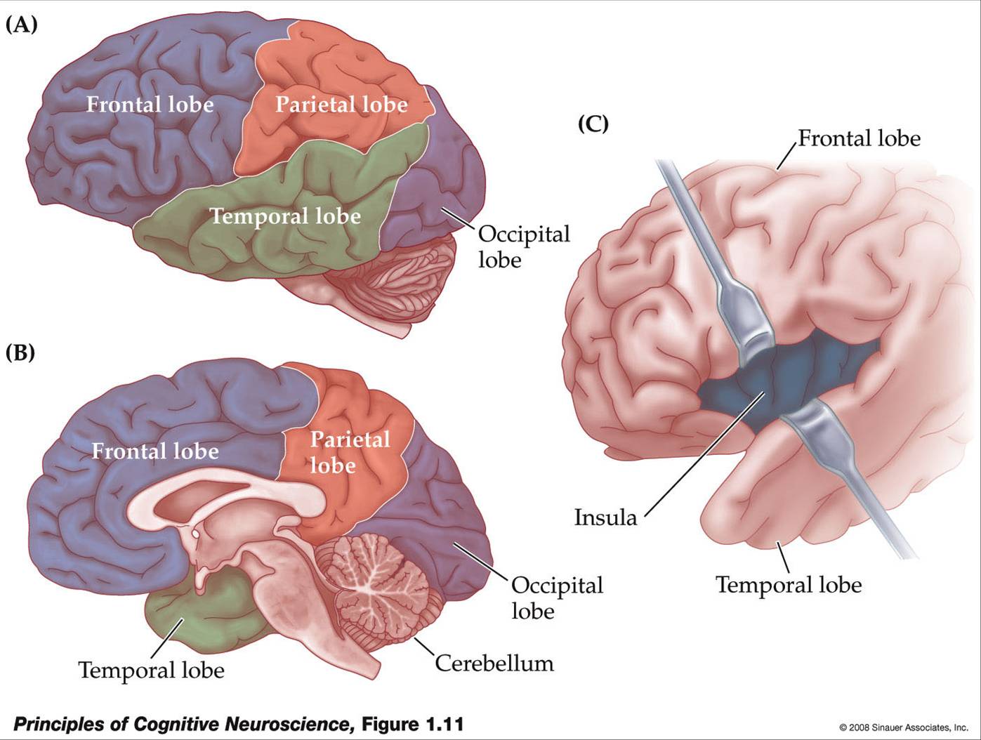 Life After Being A Student - My Mission To Learn: Internal Regulation