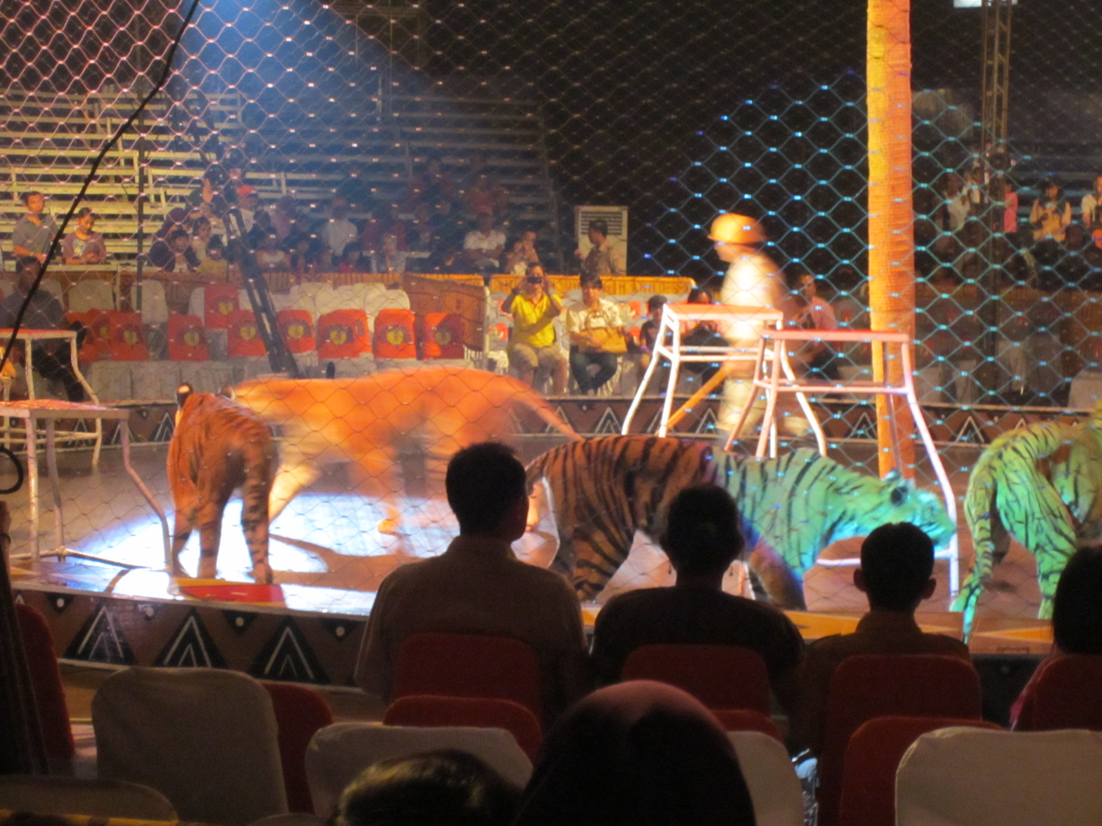 Places We Go: Tarzan D'Mighty Circus | Tigerlily's Book