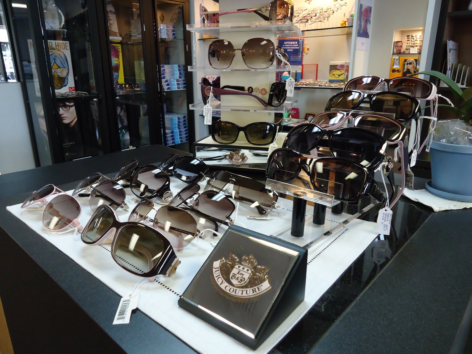 Golden Vision Optometry: Frame Gallery