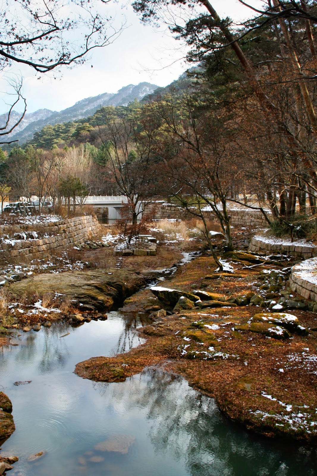 To See the Seven Continents: Cheongju and around, Korea