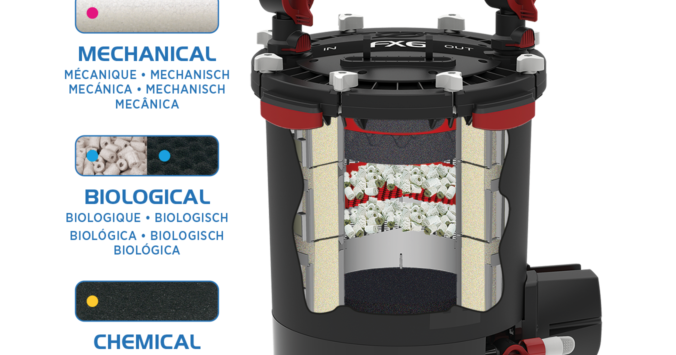 LIFEFORCE: Fluval FX6 Review