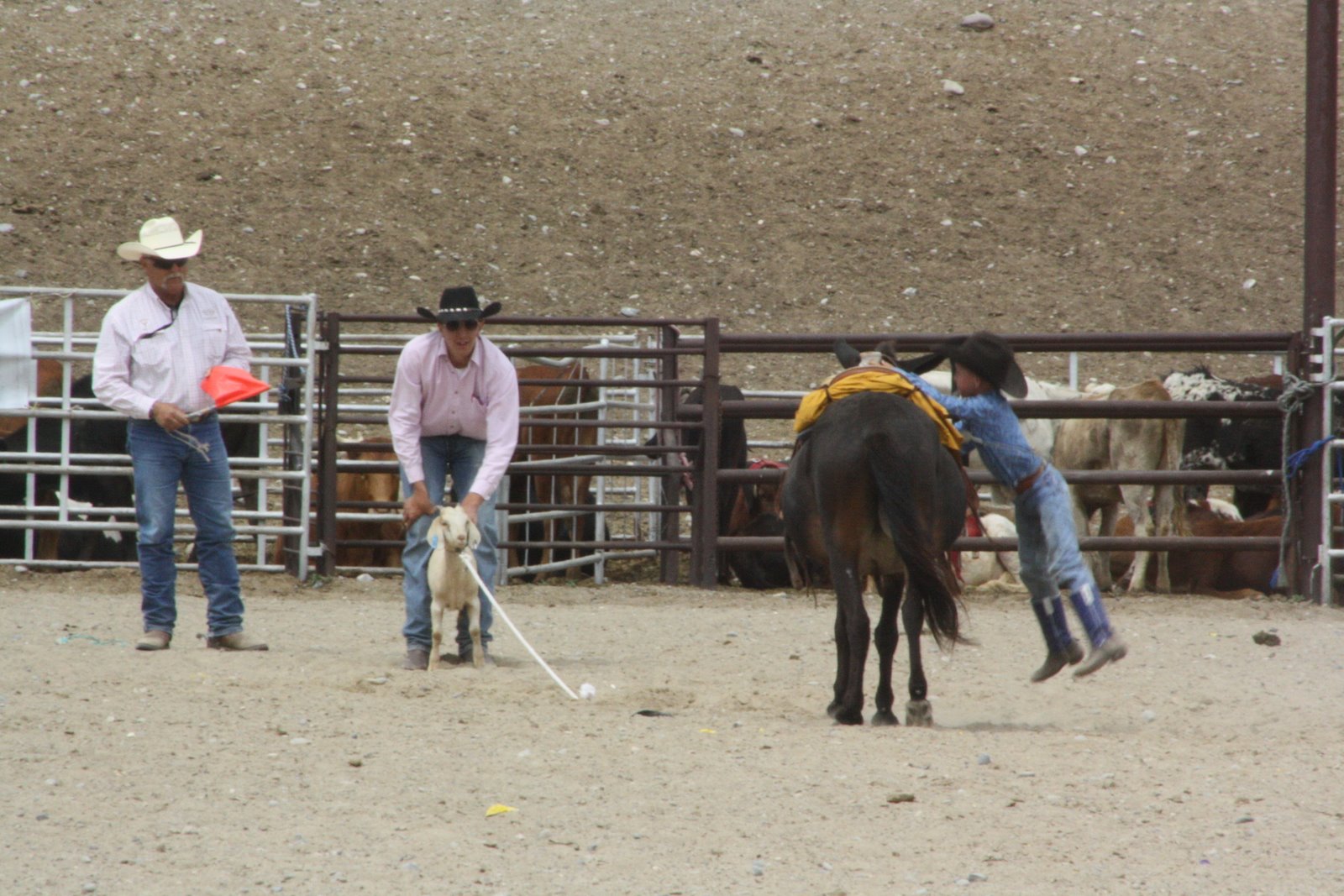 PairADice Mules: Goat Tying Jake Clark Mule Days