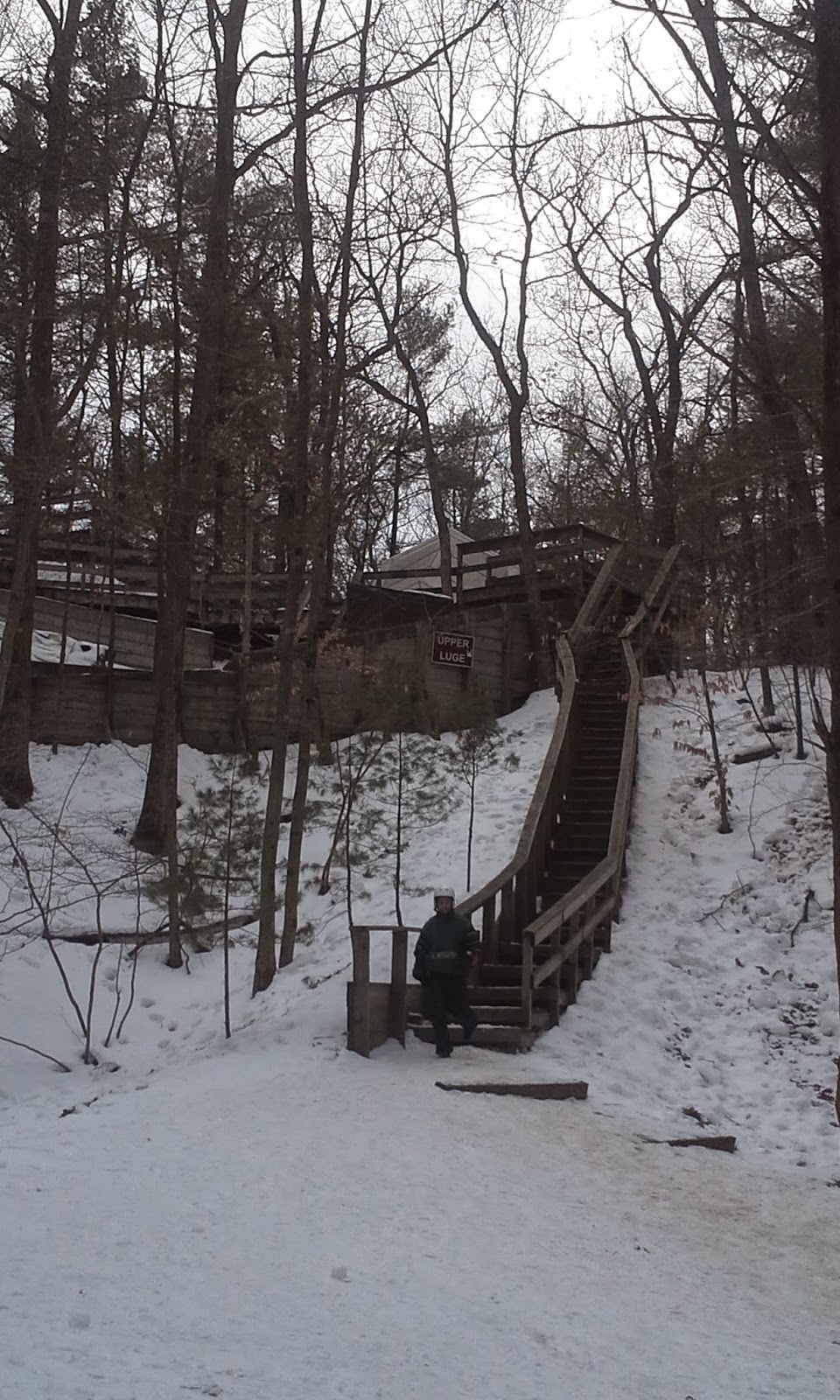 Deans' stroke musings: Luging therapy