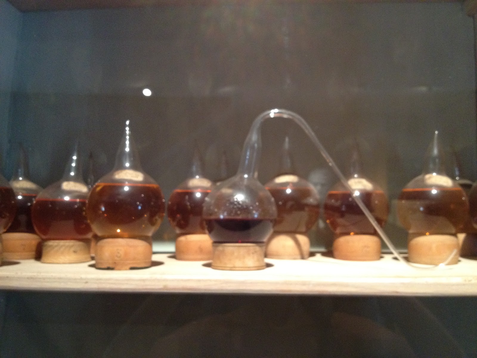 Microbiology and Culture of Cheese and Wine -- Adrianne Speranza: Comte ...