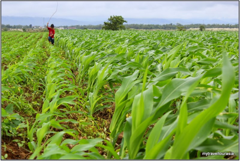 mytraveltourasia: Travel Philippines - Fun in Tuguegarao