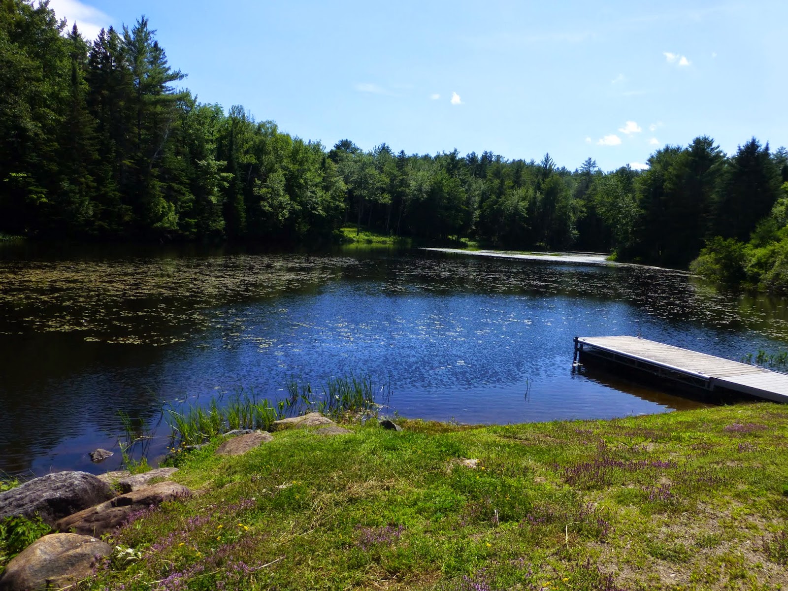 Off on Adventure: Kayaking Minerva Stream - Olmstedville, NY - 7/6/14