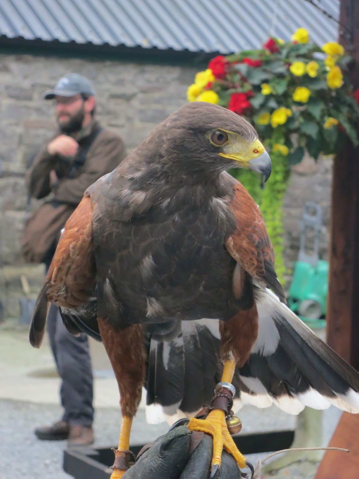 Welcome to Luxury Travel Docs!: Your Guide to Visit Ireland and ...