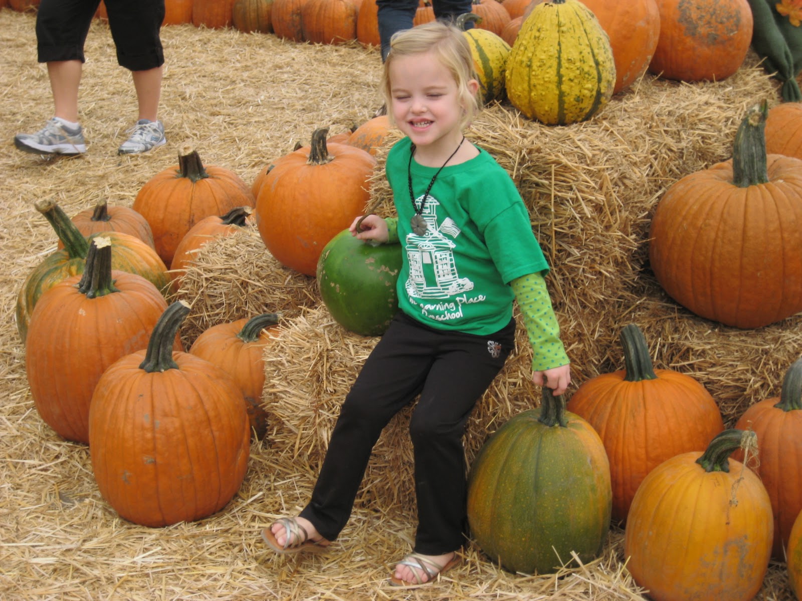 The Orf Family: Preschool Pumpkin Patch